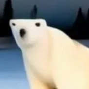 Talkie Profile Medved from 2026 | Talkie AI