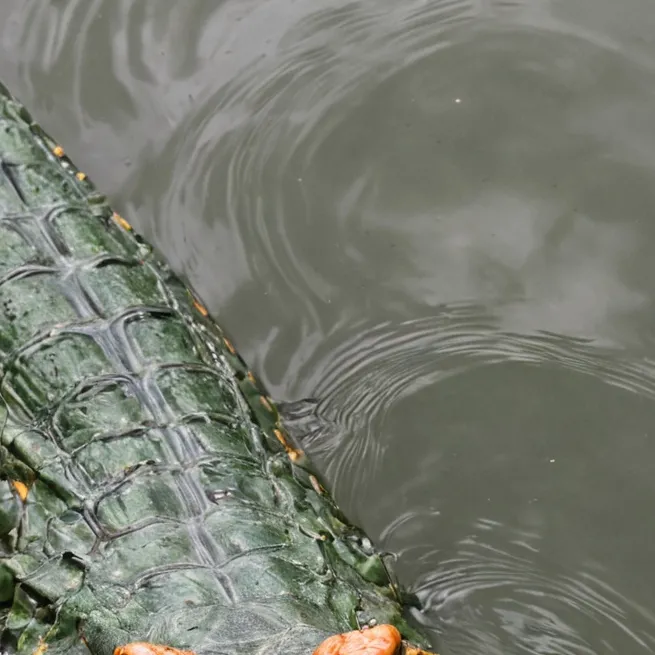 Chat with yooreek - text or voice, Enjoy AI Chat Free & Safe