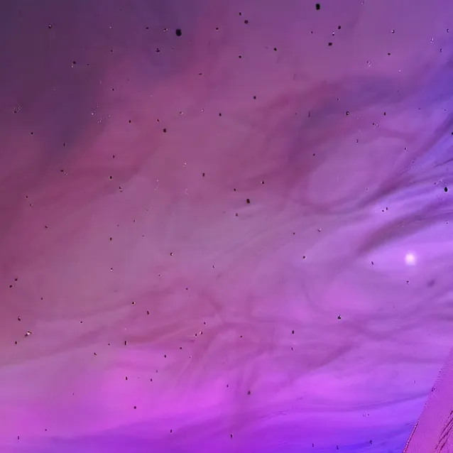 Chat with Tony alli Pau lui - text or voice, Enjoy AI Chat Free & Safe