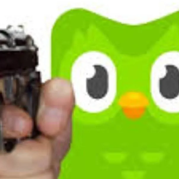Chat with duolingo has a gun - text or voice, Enjoy AI Chat Free & Safe