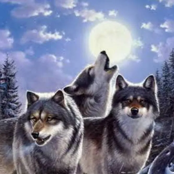 Chat with Lobos noturnos - text or voice, Enjoy AI Chat Free & Safe