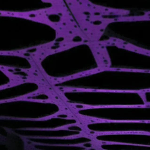 Chat with Grupka - text or voice, Enjoy AI Chat Free & Safe