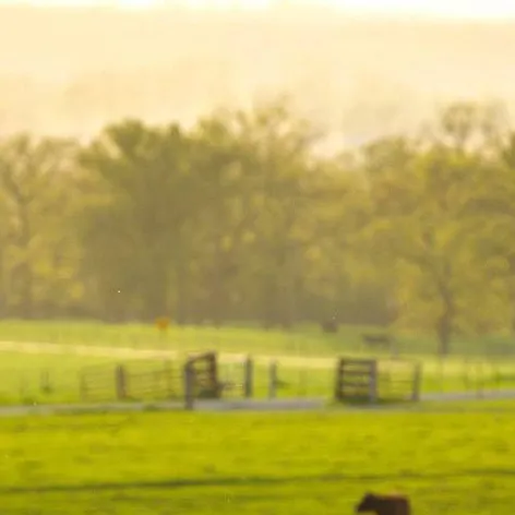 Chat with MHA Farm - text or voice, Enjoy AI Chat Free & Safe