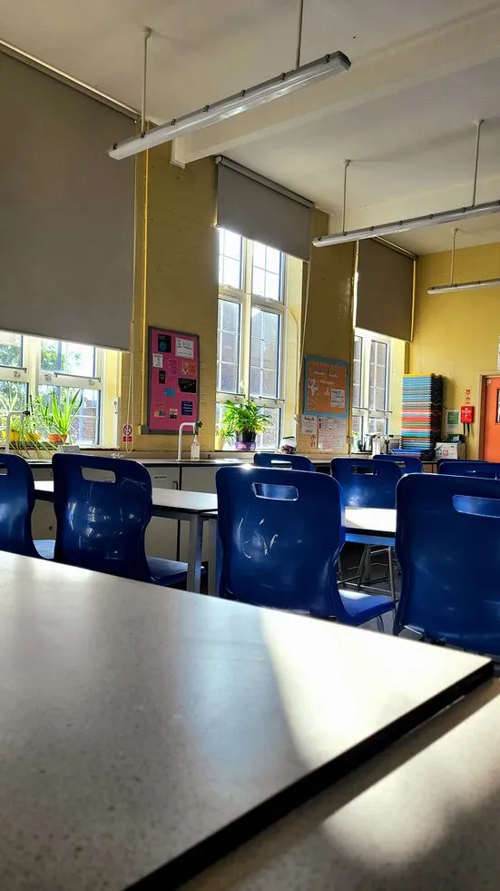 Chat with Primary School - text or voice, Enjoy AI Chat Free & Safe