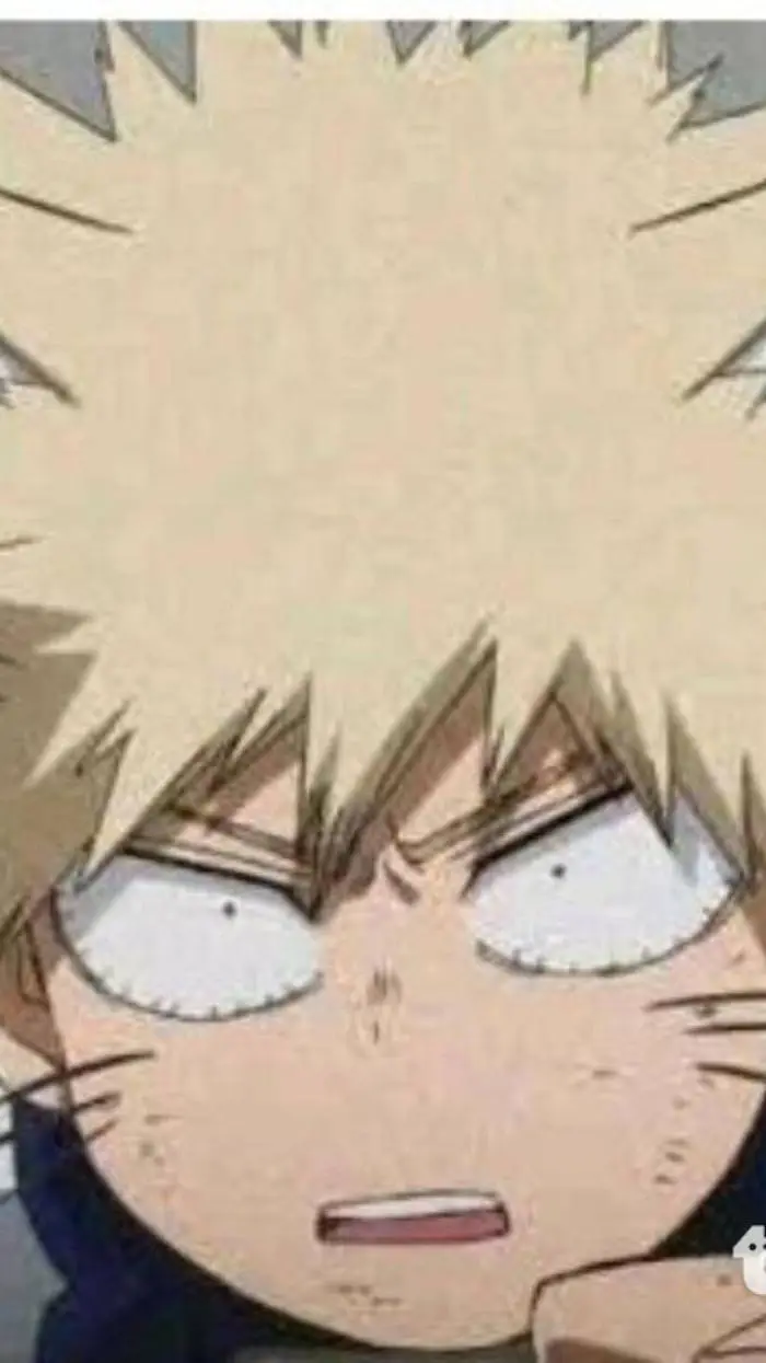 Chat with mha FaceTime - text or voice, Enjoy AI Chat Free & Safe