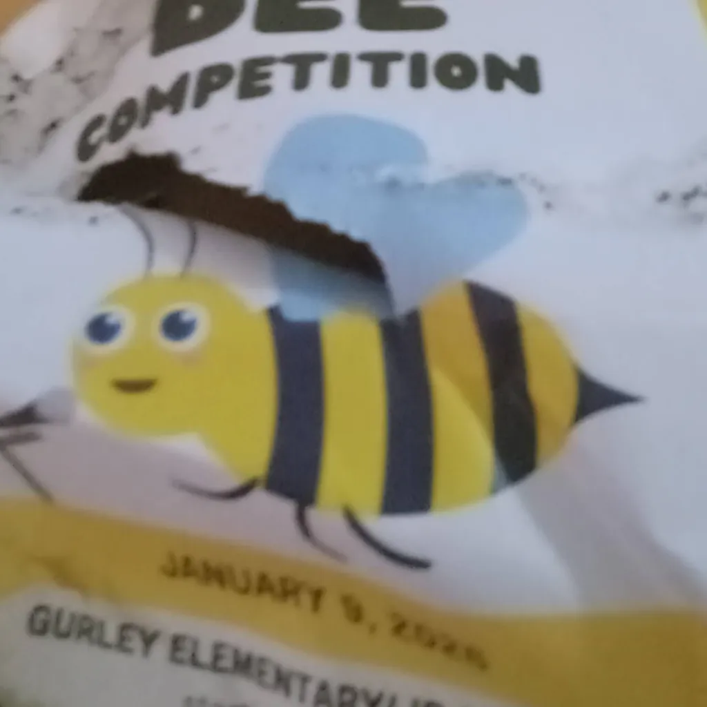 Chat with Spelling bee - text or voice, Enjoy AI Chat Free & Safe