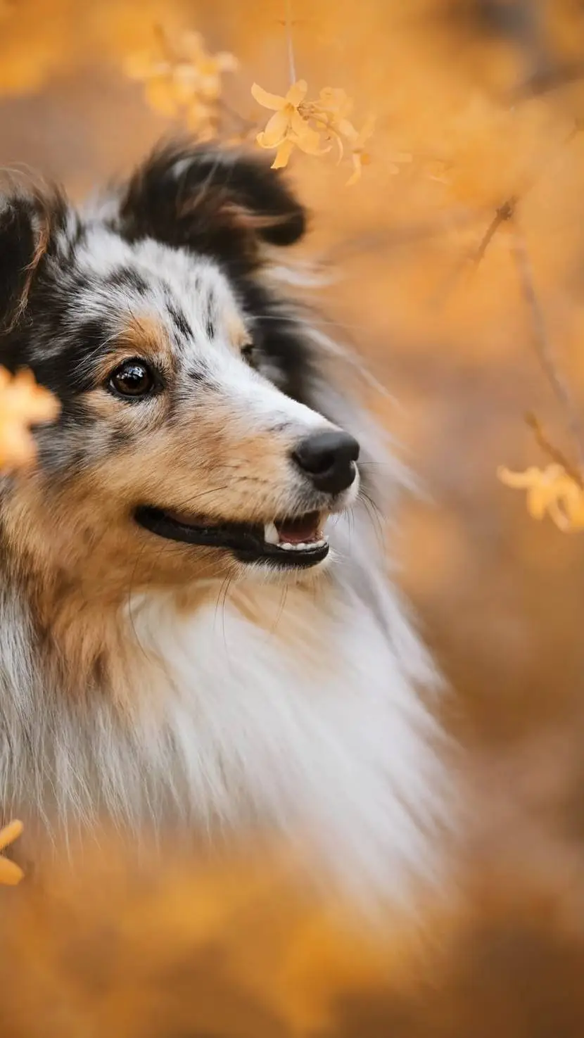 Chat with Michelle Raven - text or voice, Enjoy AI Chat Free & Safe