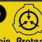 Chat with Scp Foundation - text or voice, Enjoy AI Chat Free & Safe