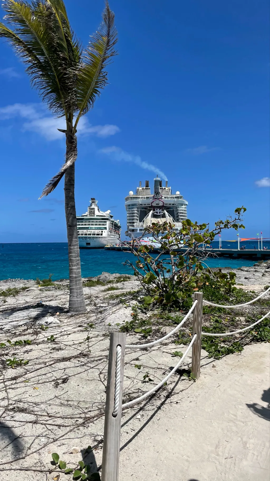 Chat with Tsitppppp - text or voice, Enjoy AI Chat Free & Safe