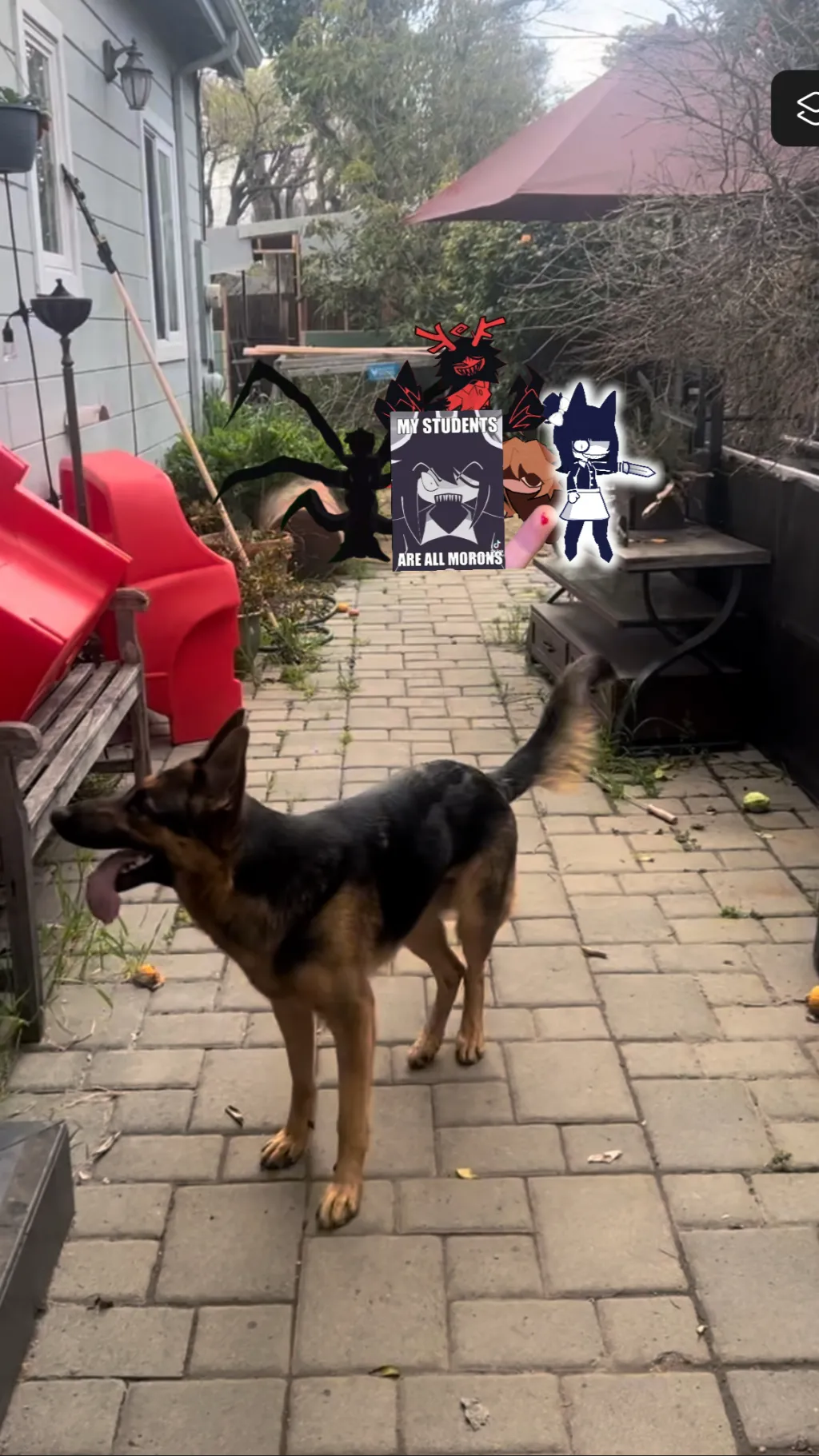 Chat with FPE loves you! - text or voice, Enjoy AI Chat Free & Safe