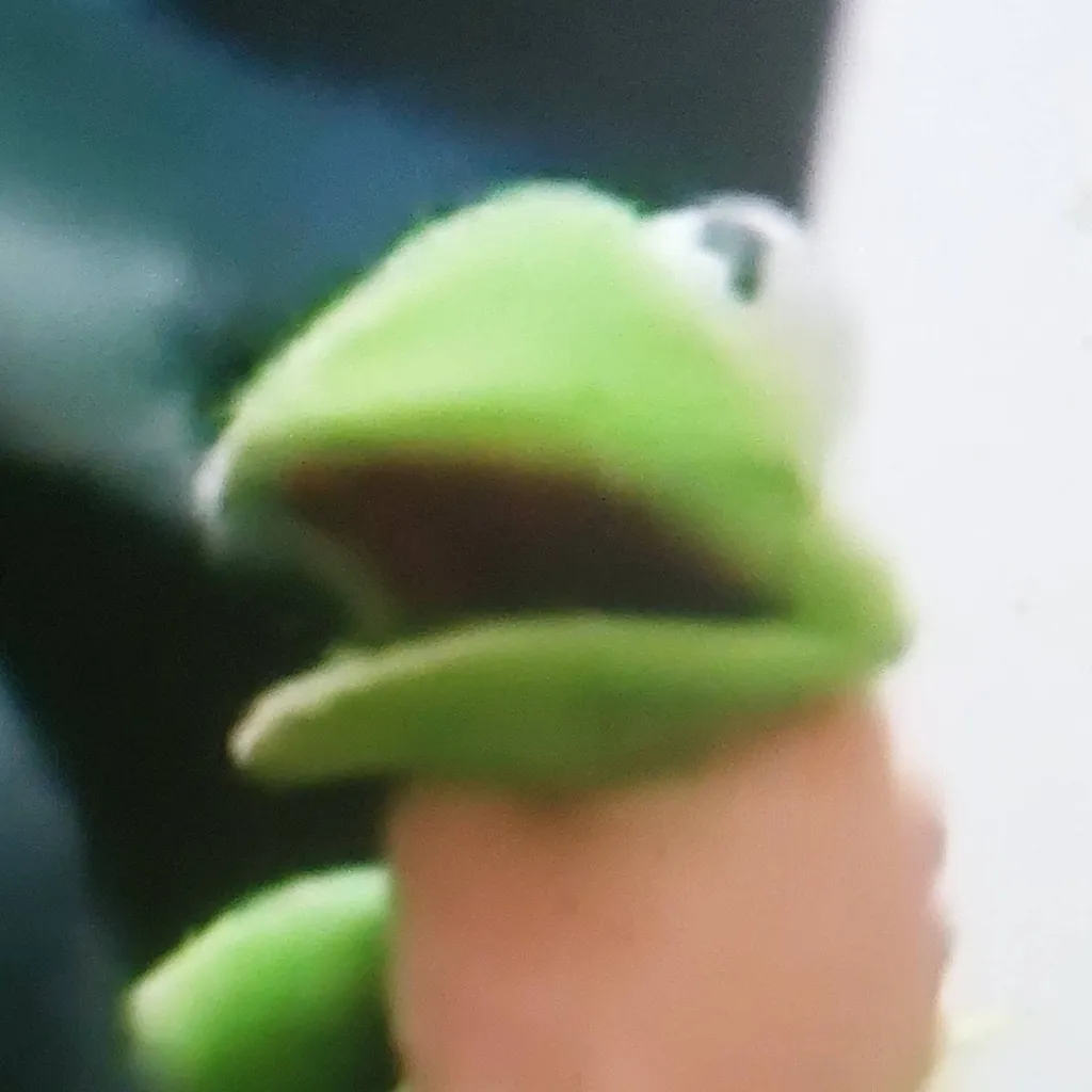 Chat with Kermit grabbed - text or voice, Enjoy AI Chat Free & Safe