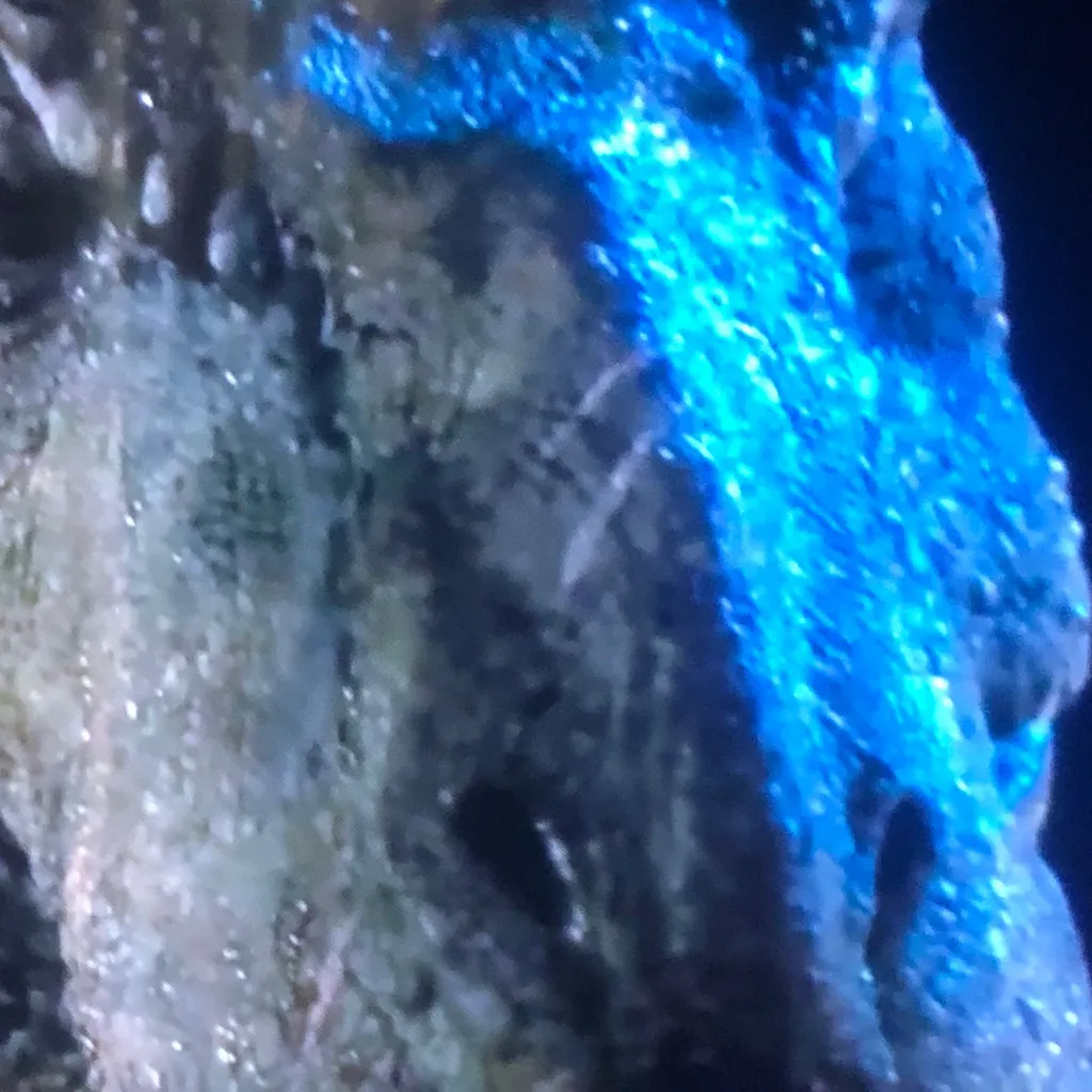 Chat with Rexy - text or voice, Enjoy AI Chat Free & Safe