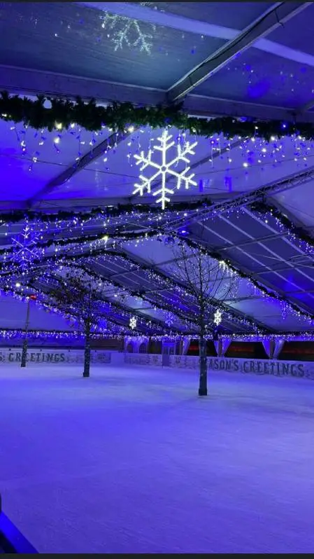 Chat with MHA ice skating - text or voice, Enjoy AI Chat Free & Safe