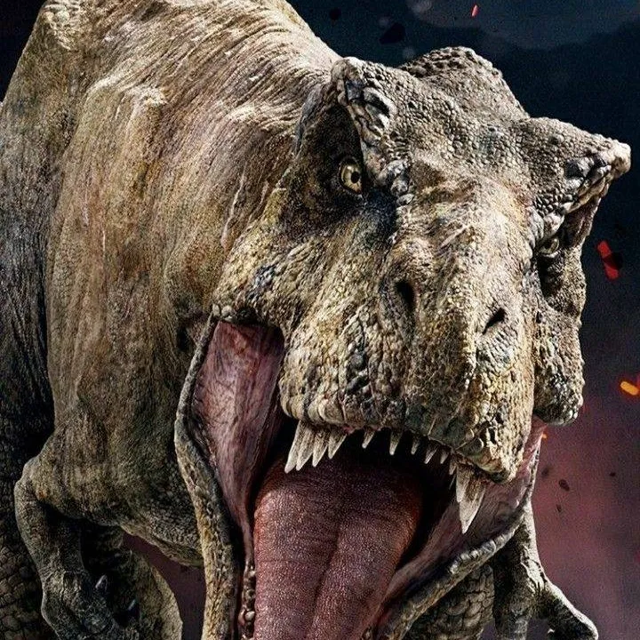Chat with Rexy - text or voice, Enjoy AI Chat Free & Safe