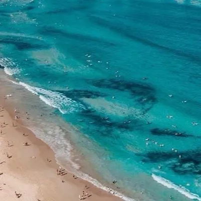 Chat with Bondi beach - text or voice, Enjoy AI Chat Free & Safe