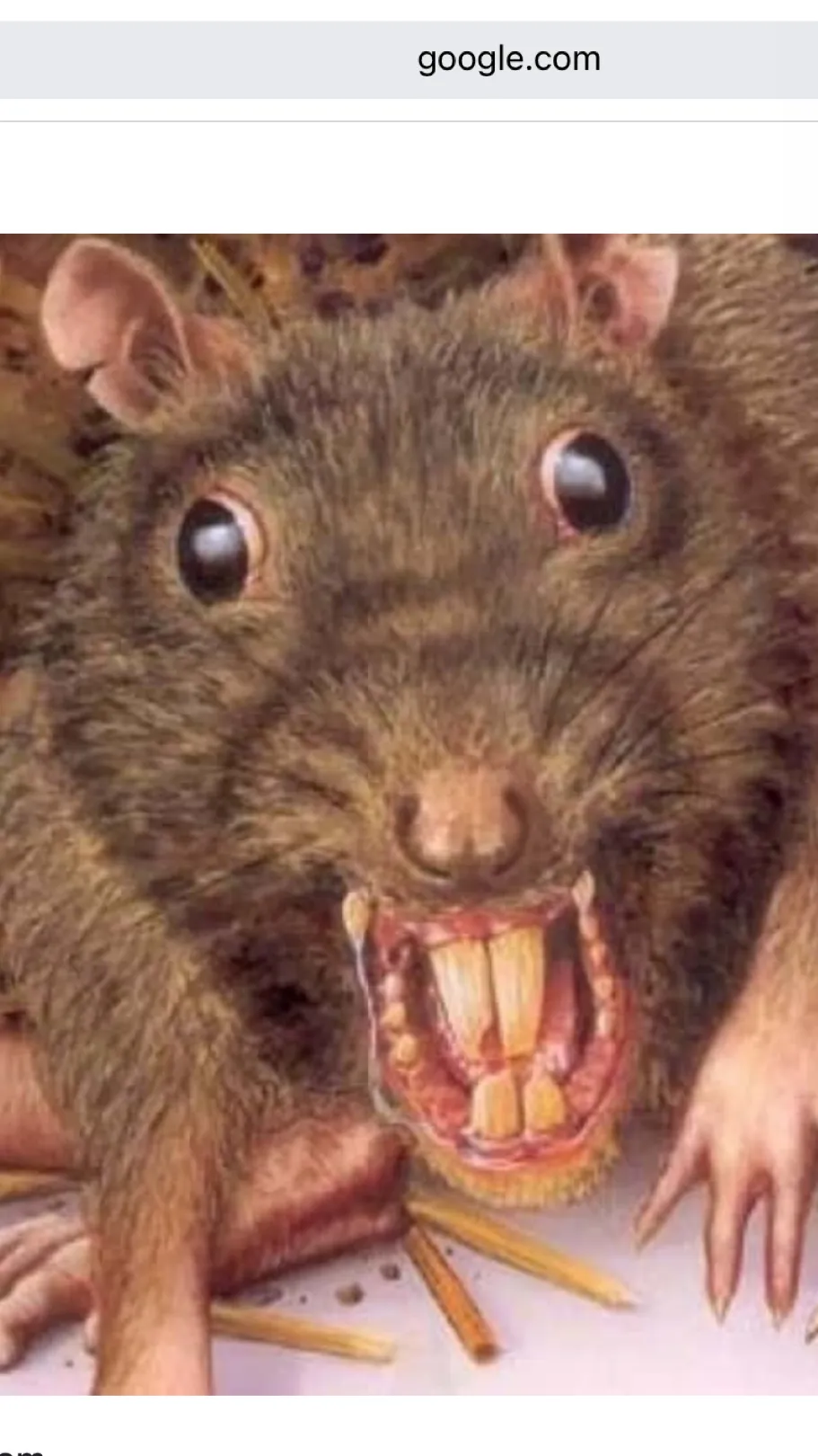 Chat with Rat - text or voice, Enjoy AI Chat Free & Safe