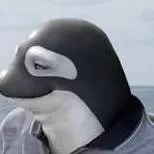 Talkie Profile Orca TF TG | Talkie AI