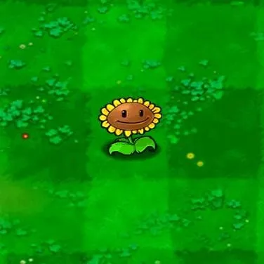 Chat with sunflower - text or voice, Enjoy AI Chat Free & Safe