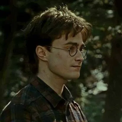 Chat with Harry Potter - text or voice, Enjoy AI Chat Free & Safe