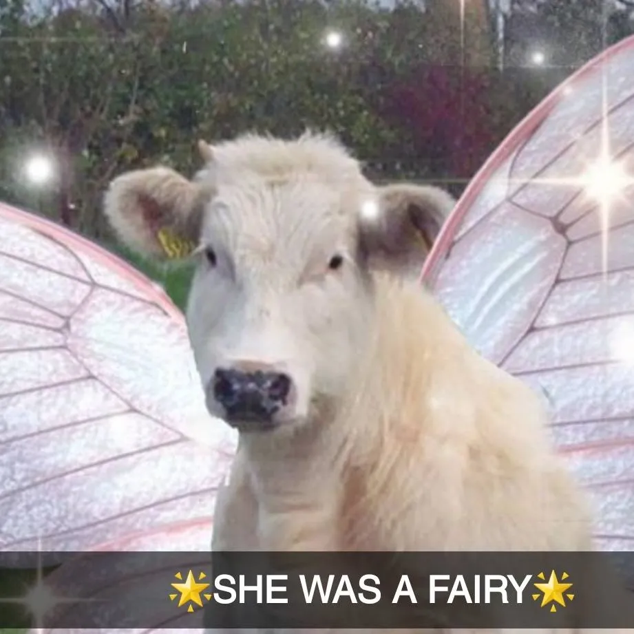 Talkie Profile Change my pfp? | Talkie AI