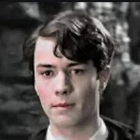 Chat with Tom riddle - text or voice, Enjoy AI Chat Free & Safe