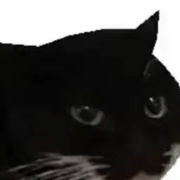 Chat with Maxwell the cat - text or voice, Enjoy AI Chat Free & Safe