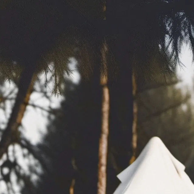 Chat with tadc - text or voice, Enjoy AI Chat Free & Safe