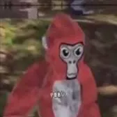 Chat with Pbbv - text or voice, Enjoy AI Chat Free & Safe