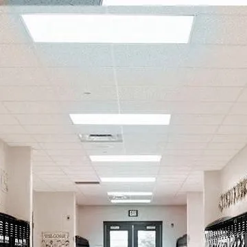 Chat with blueberry primary - text or voice, Enjoy AI Chat Free & Safe